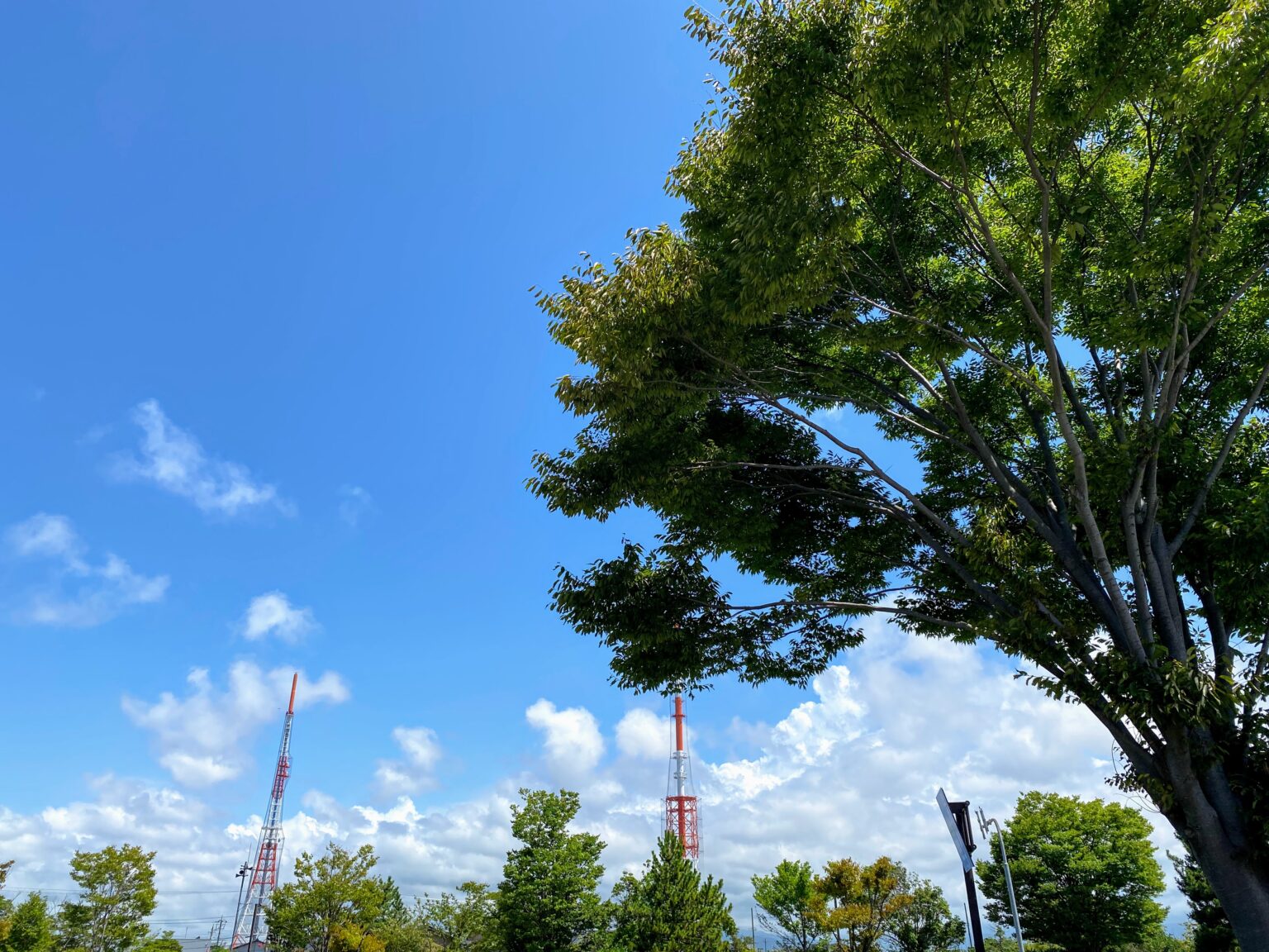 【photo(写真)AC】投稿写真480件 ダウンロード数42DL | konakia Connect こなきあこねくと