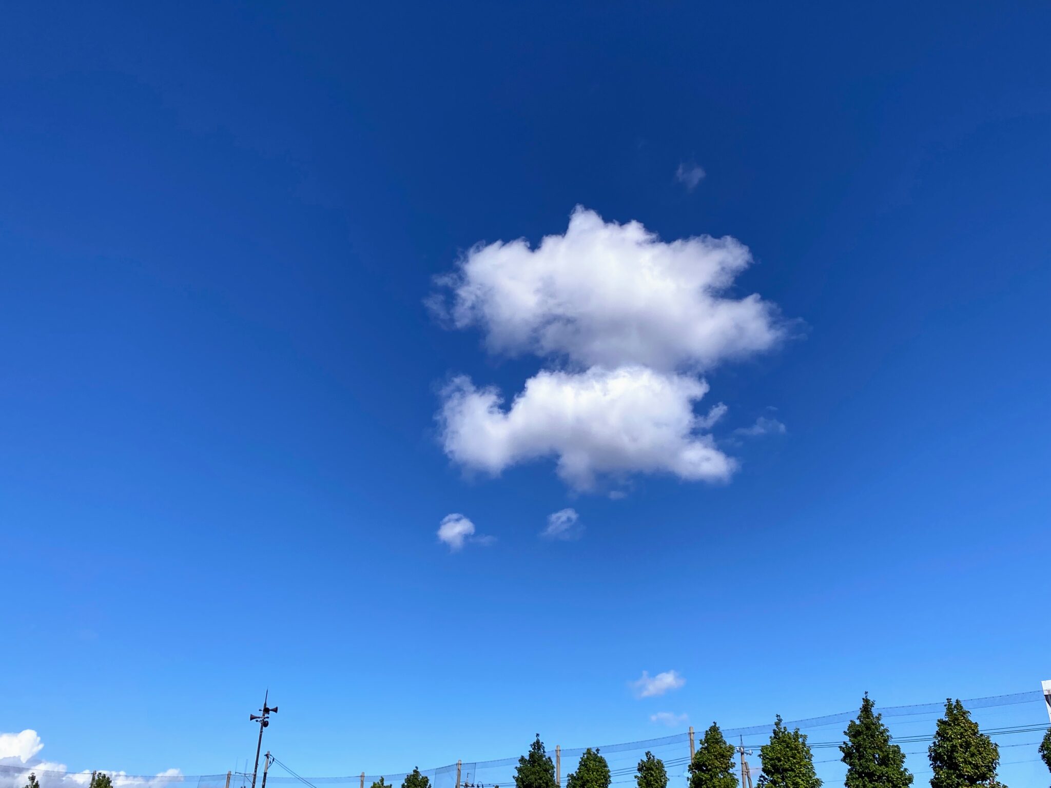 コロナ禍で子供の運動会も変化していました | konakia Connect こなきあこねくと