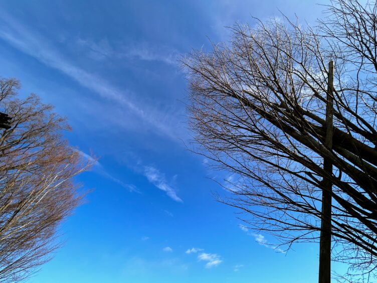 Beautiful/Superfly 私が娘に伝えたかったこと | konakia Connect こなきあこねくと