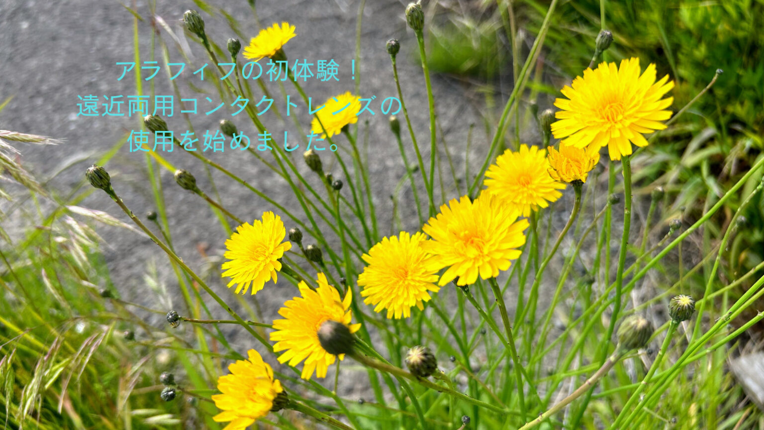 おめでとう！息子が希望の高校に合格しました！ | konakia Connect こなきあこねくと